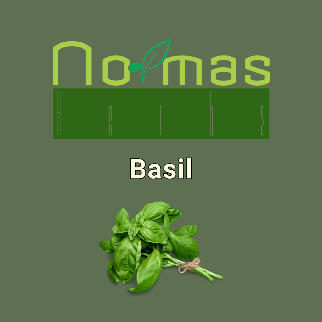 Basil 1/2 lb | NormasHerbs.com
