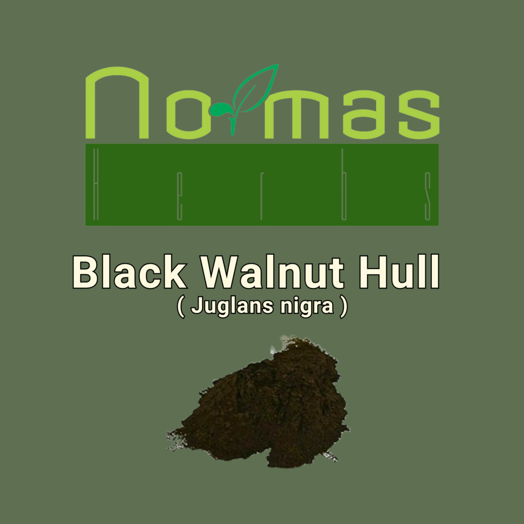 Black Walnut Hull ( Juglans nigra ) | NormasHerbs.com