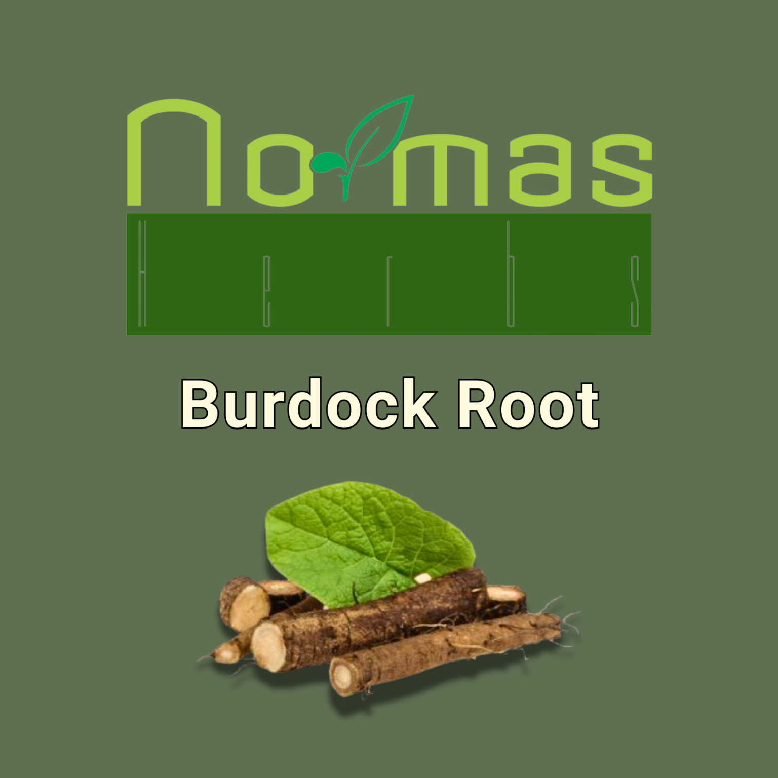 Burdock Root | NormasHerbs.com