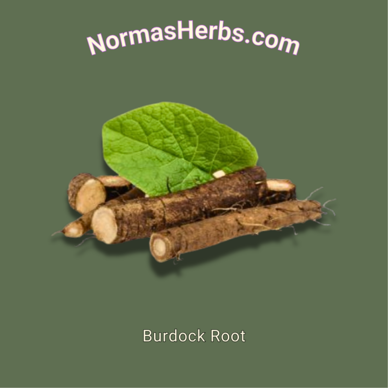 Burdock Root | NormasHerbs.com