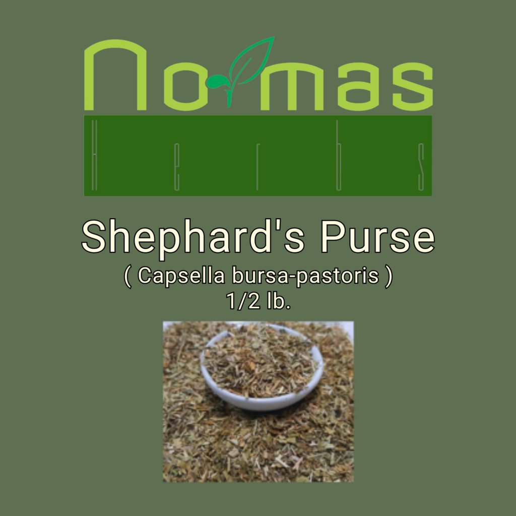 Shephard's Purse ( Capsella bursa-pastoris ) | NormasHerbs.com