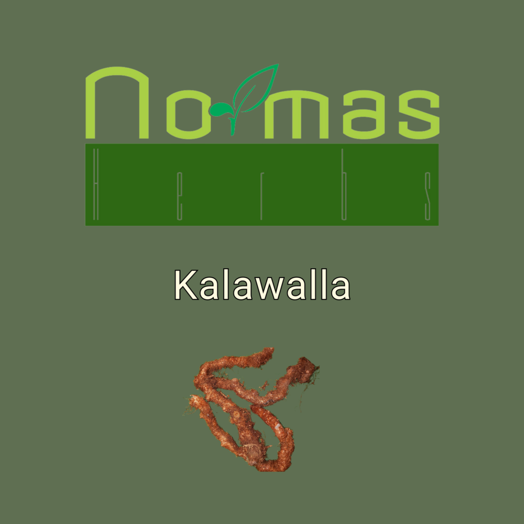 Kalawalla 60 Capsules | NormasHerbs.com