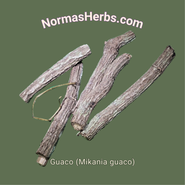 Guaco (Mikania guaco) | NormasHerbs.com