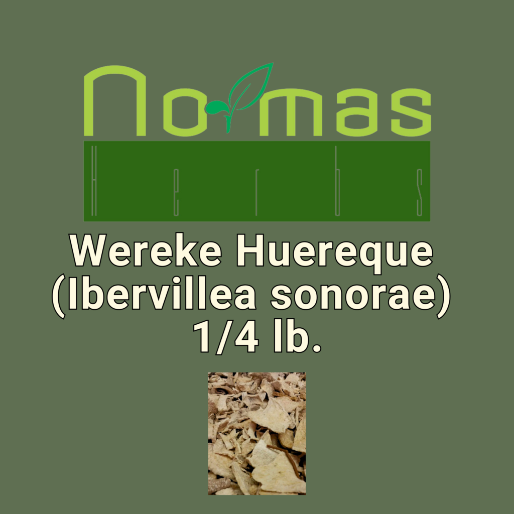 Wereke Huereque (Ibervillea sonorae) 1/4 lb. | NormasHerbs.com