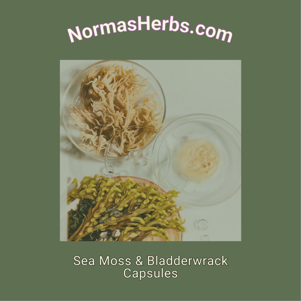 Sea Moss & Bladderwrack Capsules | NormasHerbs.com